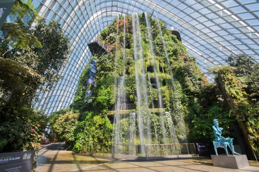 Cloud Forest Singapore: Explore its Enchanting Beauty & Attractions